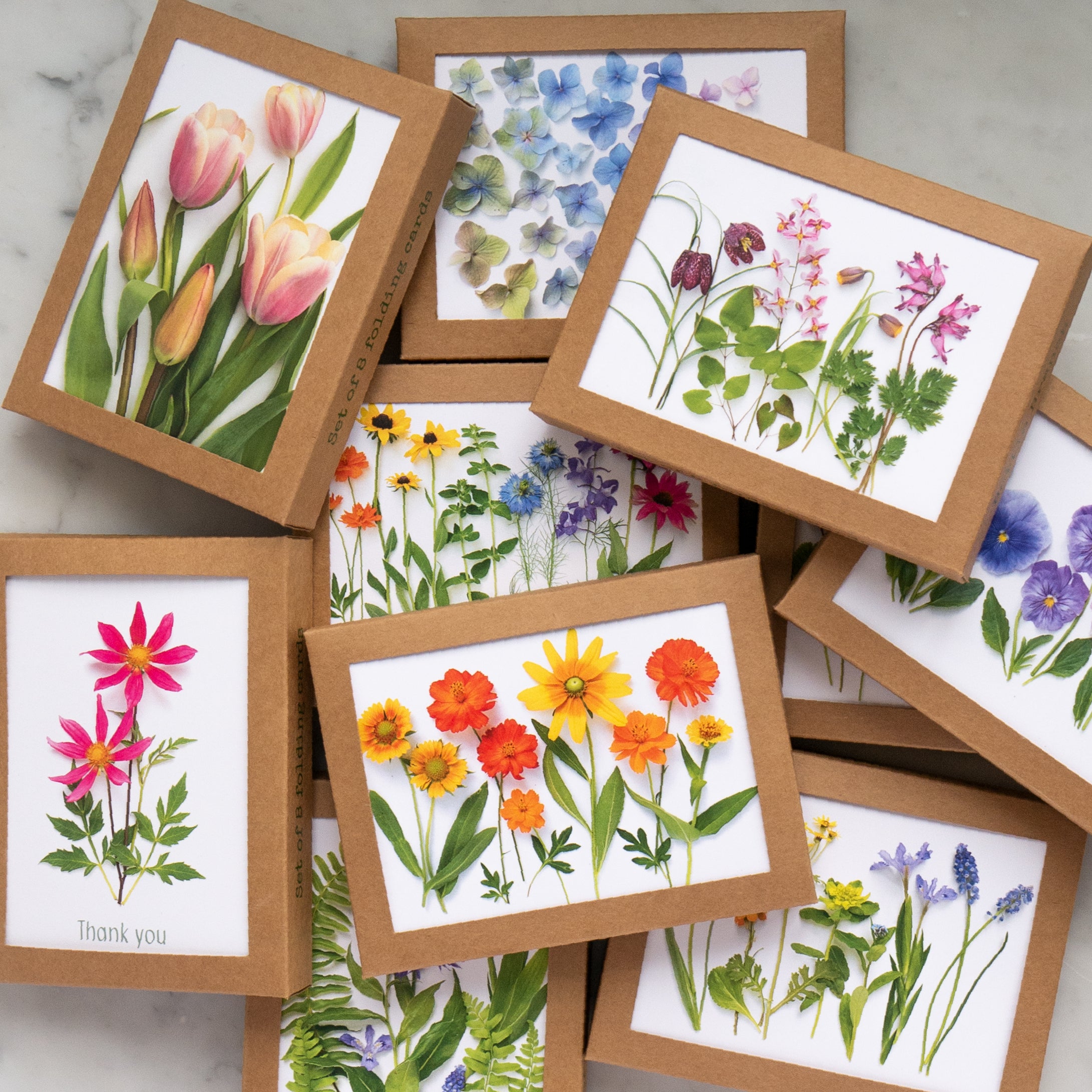 Folding Card Sets – BottleBranch