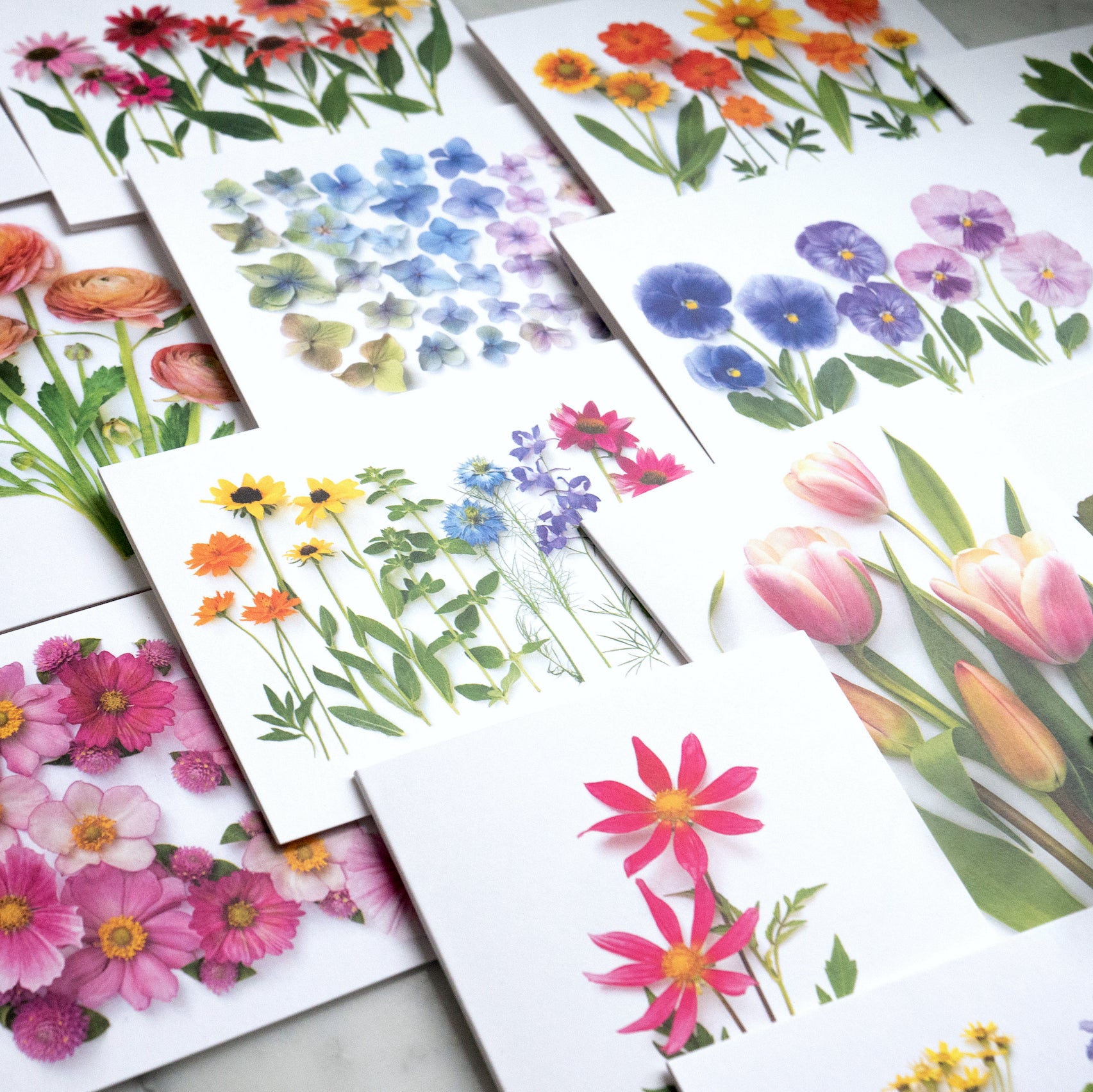 Individual Cards – BottleBranch