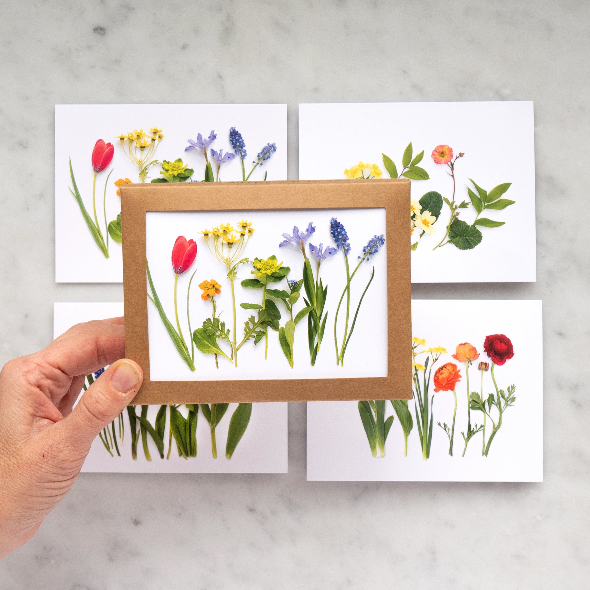 Card Sets – BottleBranch