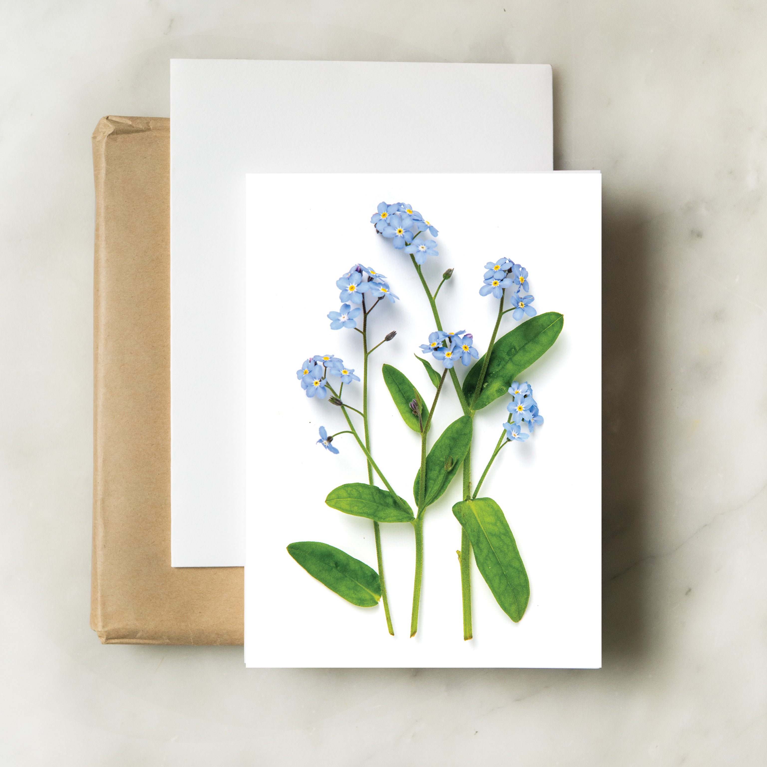 Folding card - Forget-me-nots – BottleBranch