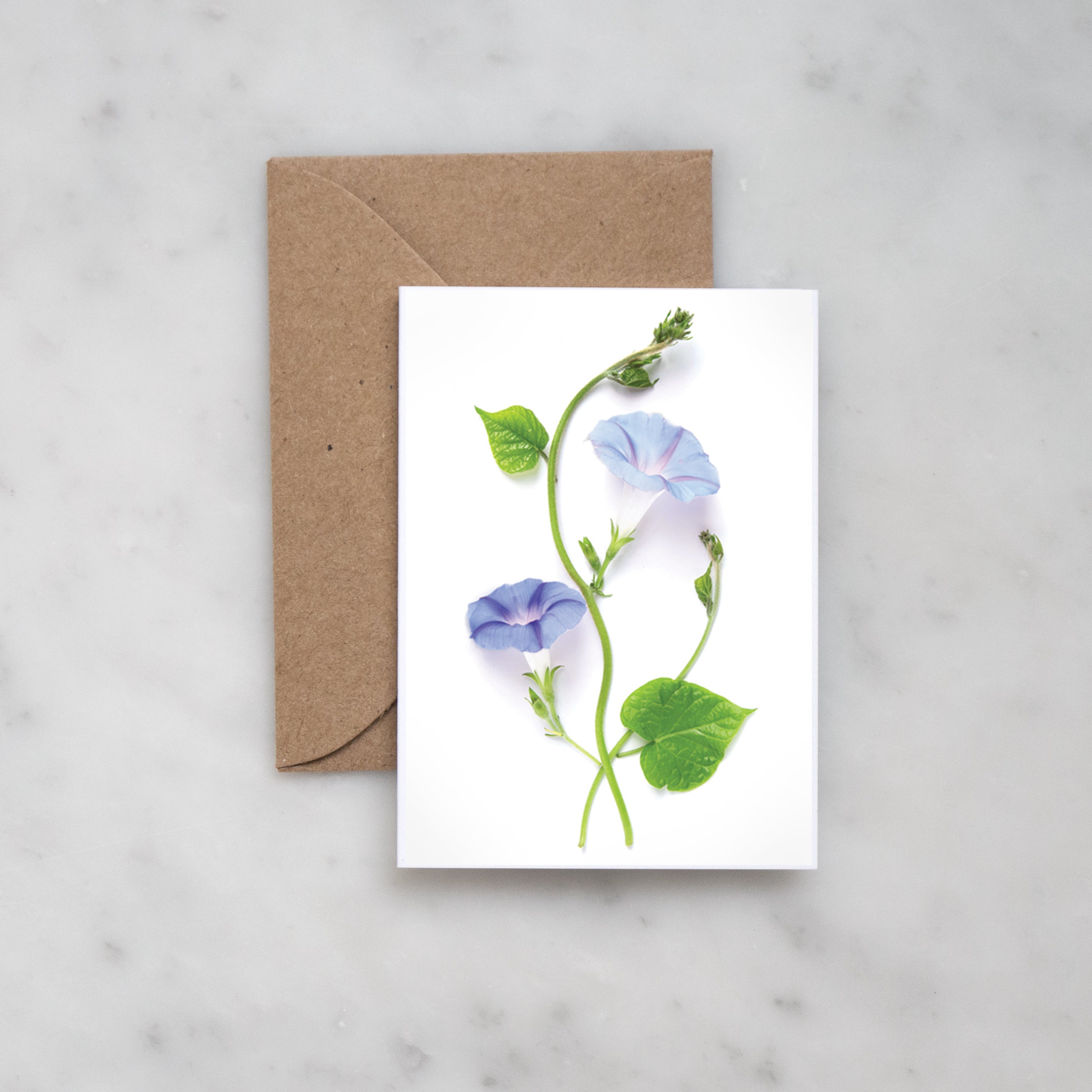Mini card - Morning Glory – BottleBranch