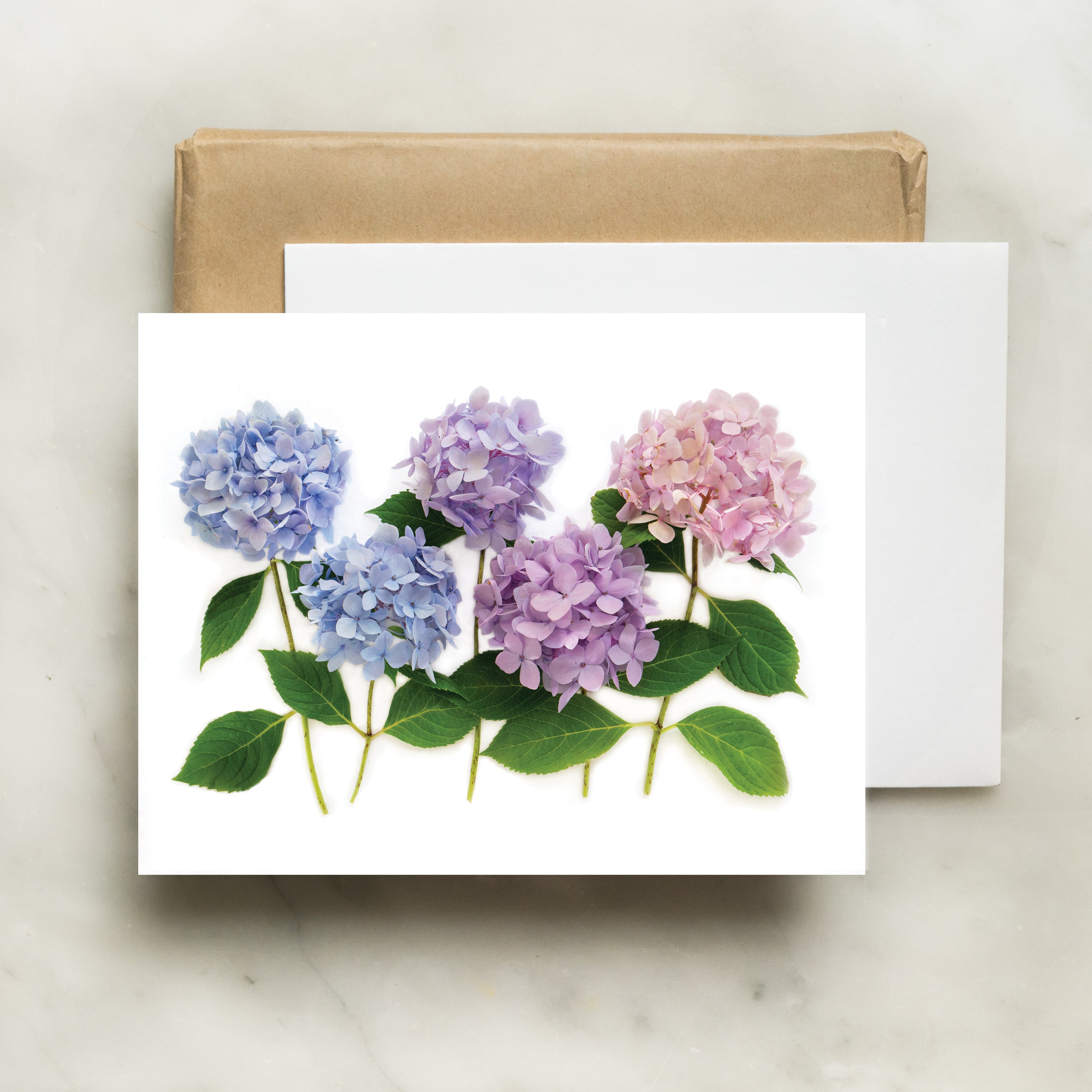 Folding card - Hydrangea – BottleBranch