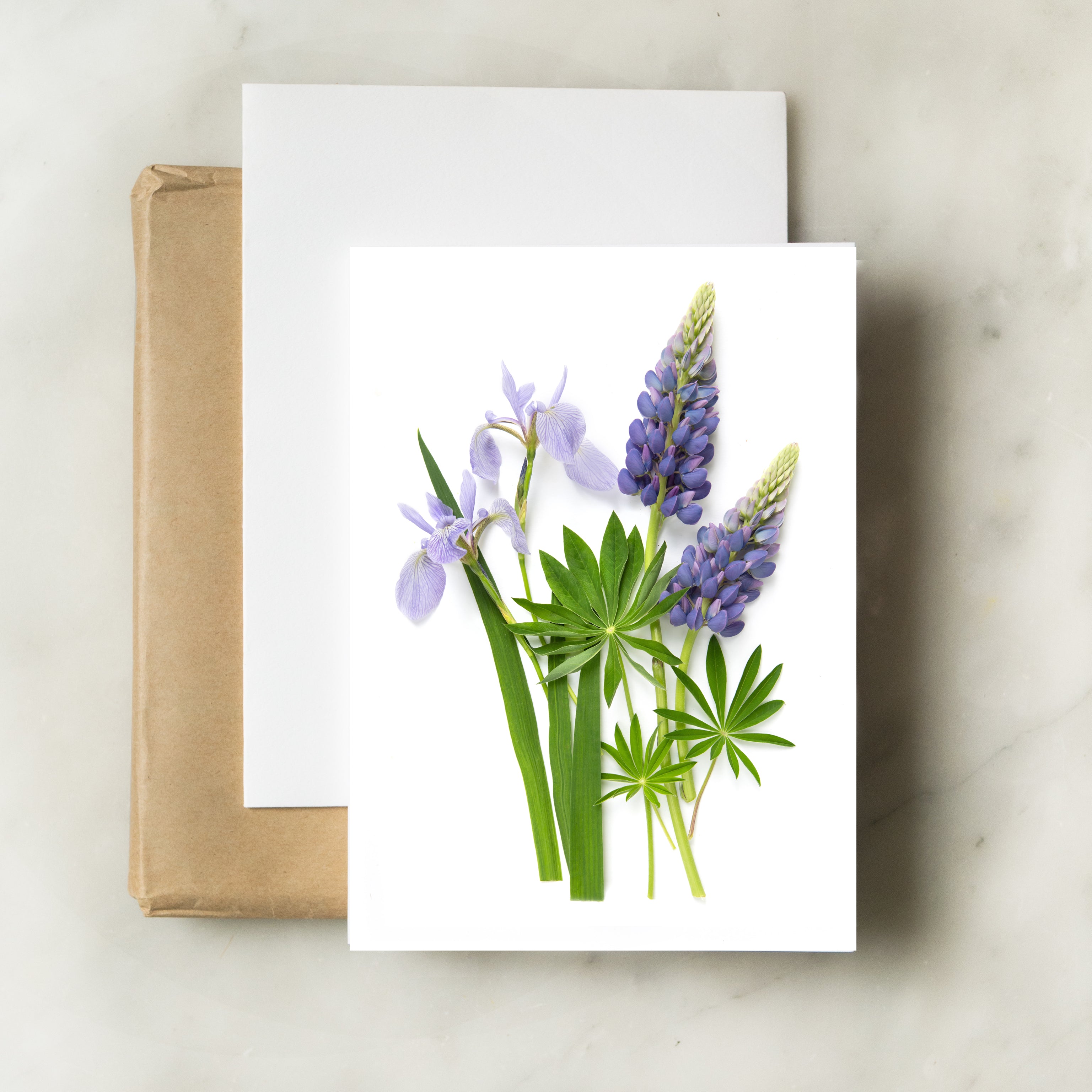 Folding card - Iris and Lupin – BottleBranch