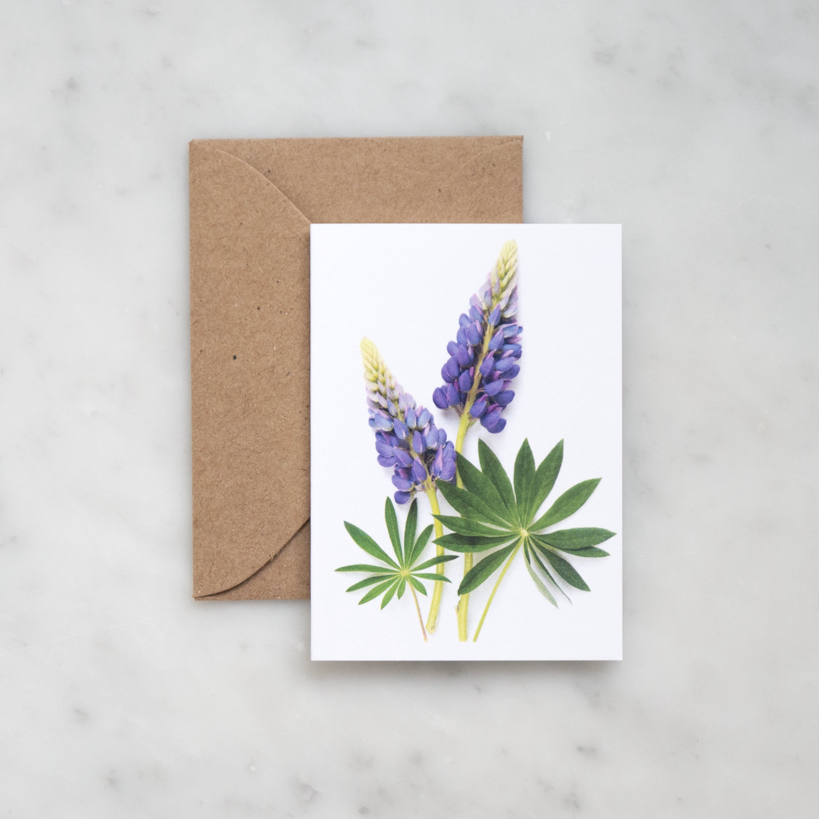 Mini card - Lupin – BottleBranch