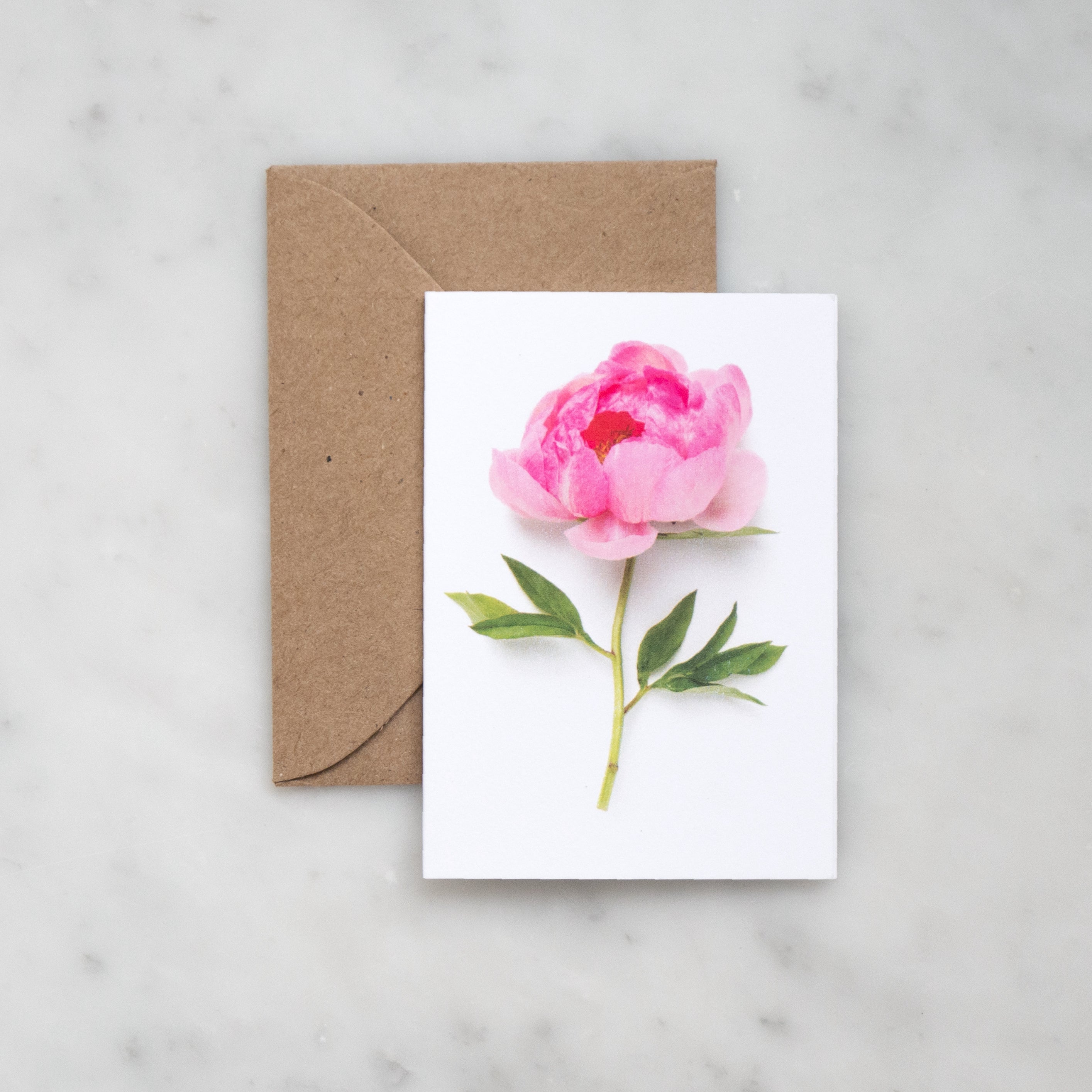 Mini card - Pink Peony – BottleBranch